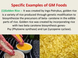 Genetically modified foods | PPTX