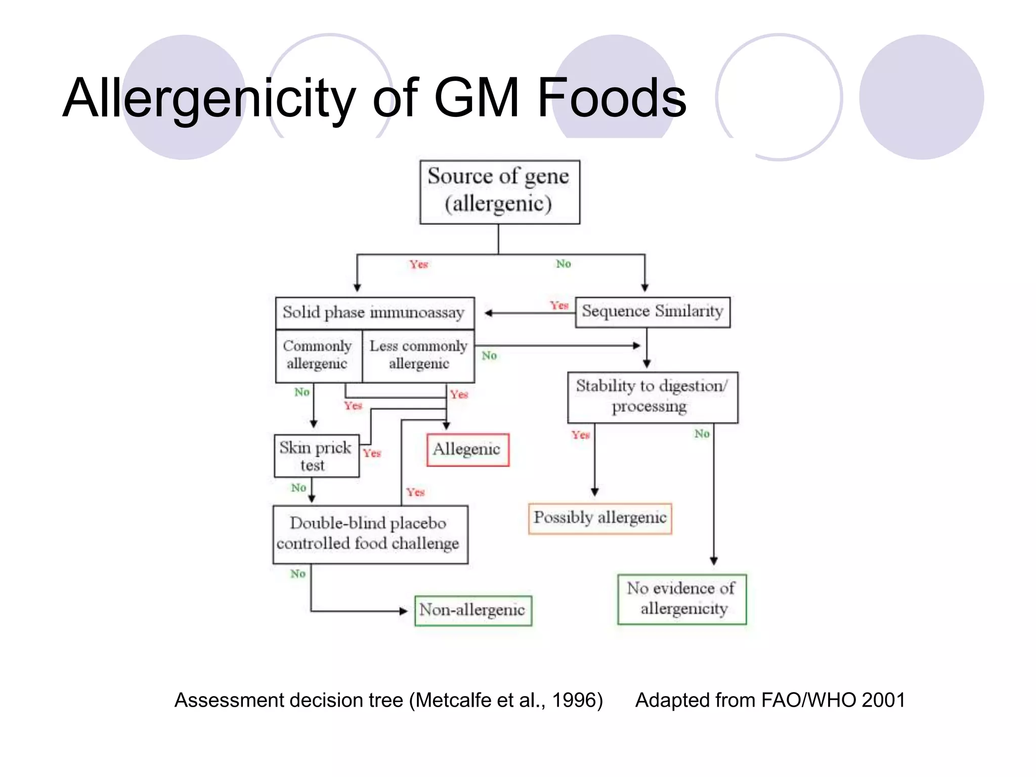 genetically modified foods.ppt