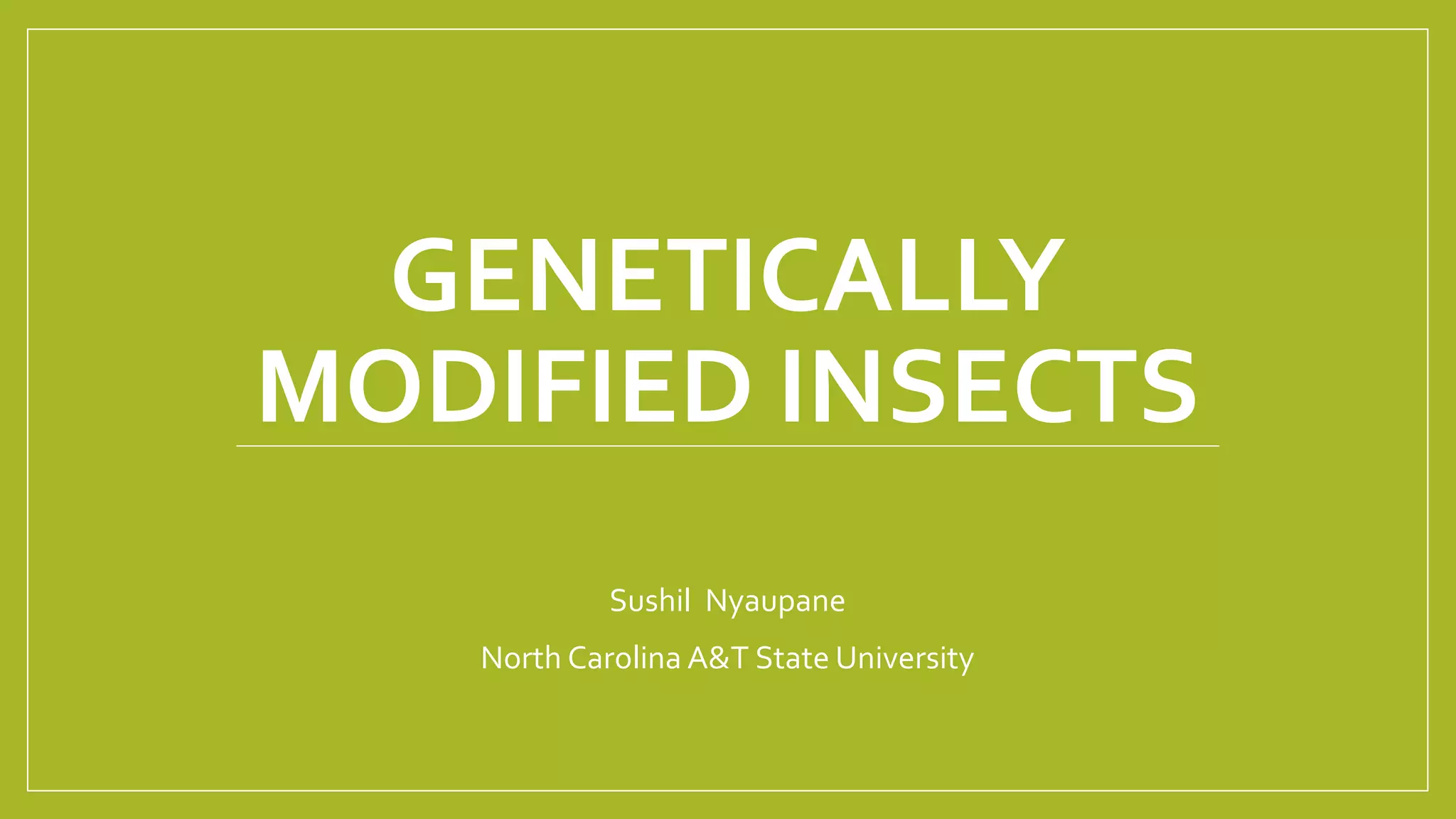 Genetically modified insects | PPTX