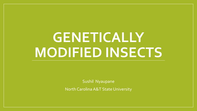 Genetically modified insects | PPTX