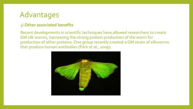 Genetically modified insects | PPTX