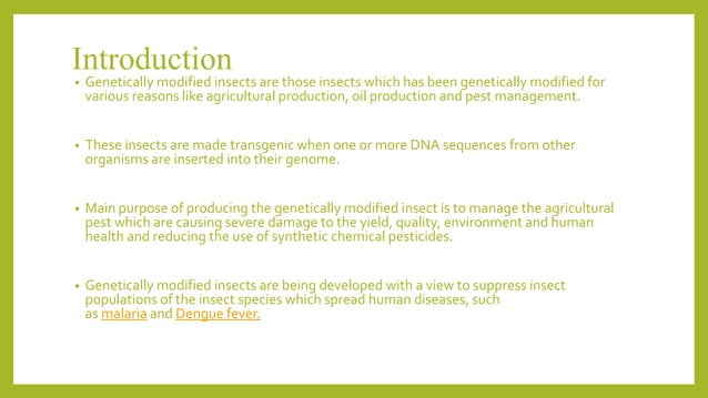 Genetically modified insects | PPT