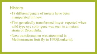 Genetically modified insects | PPTX