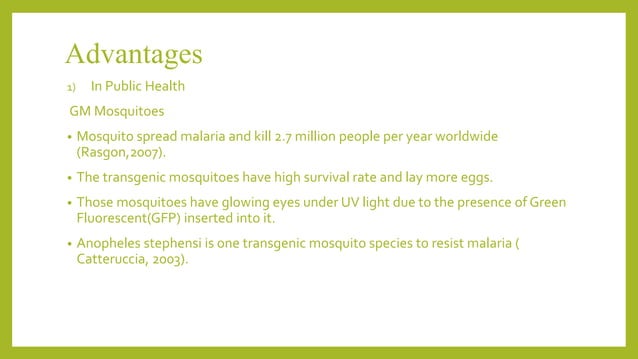 Genetically modified insects