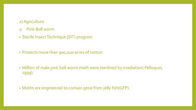 Genetically modified insects