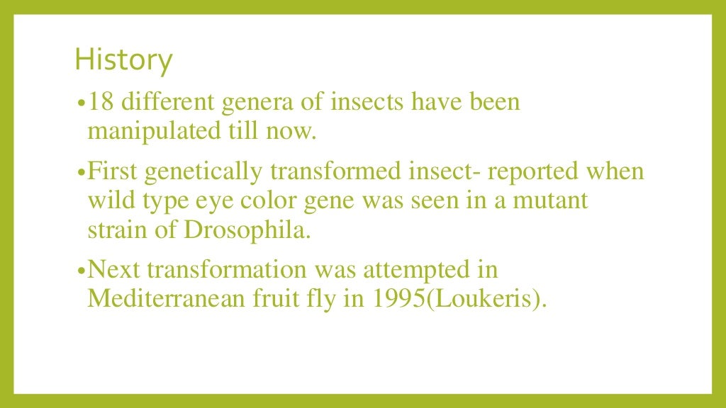 Genetically modified insects
