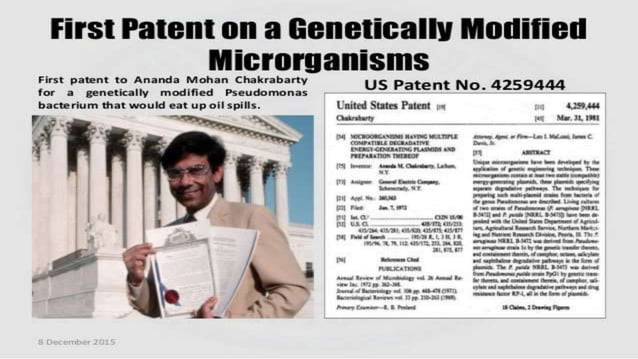 Genetically modified microbes | PPTX