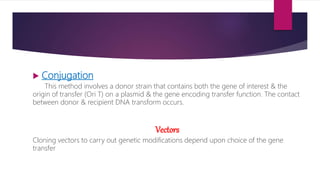 Genetically modified microbes | PPTX