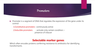 Genetically modified microbes | PPTX