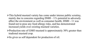 Genetically modified mustard | PPTX