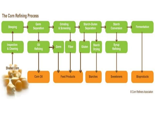 Genetically modified oils | PPTX