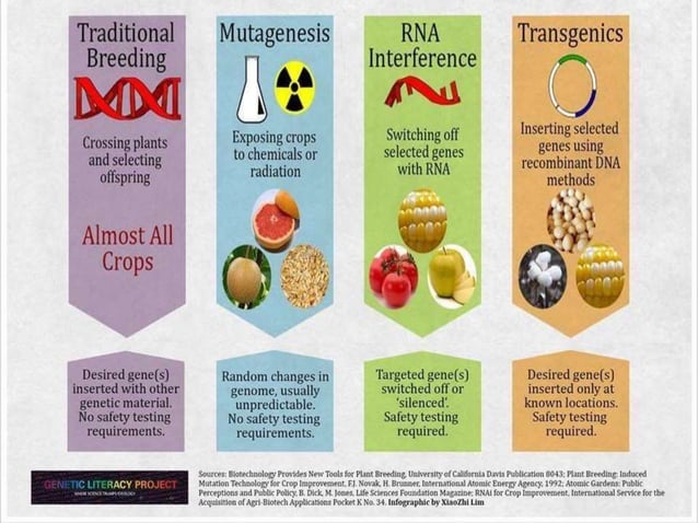 Genetically modified oils | PPTX