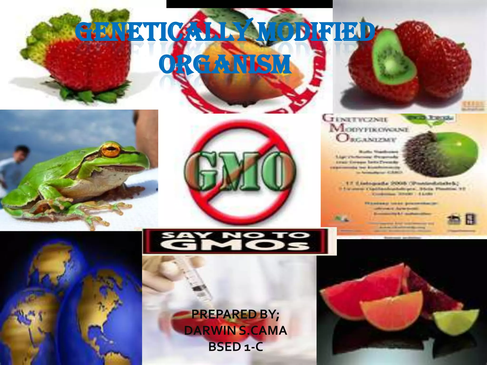 Genetically modified organism | PPT