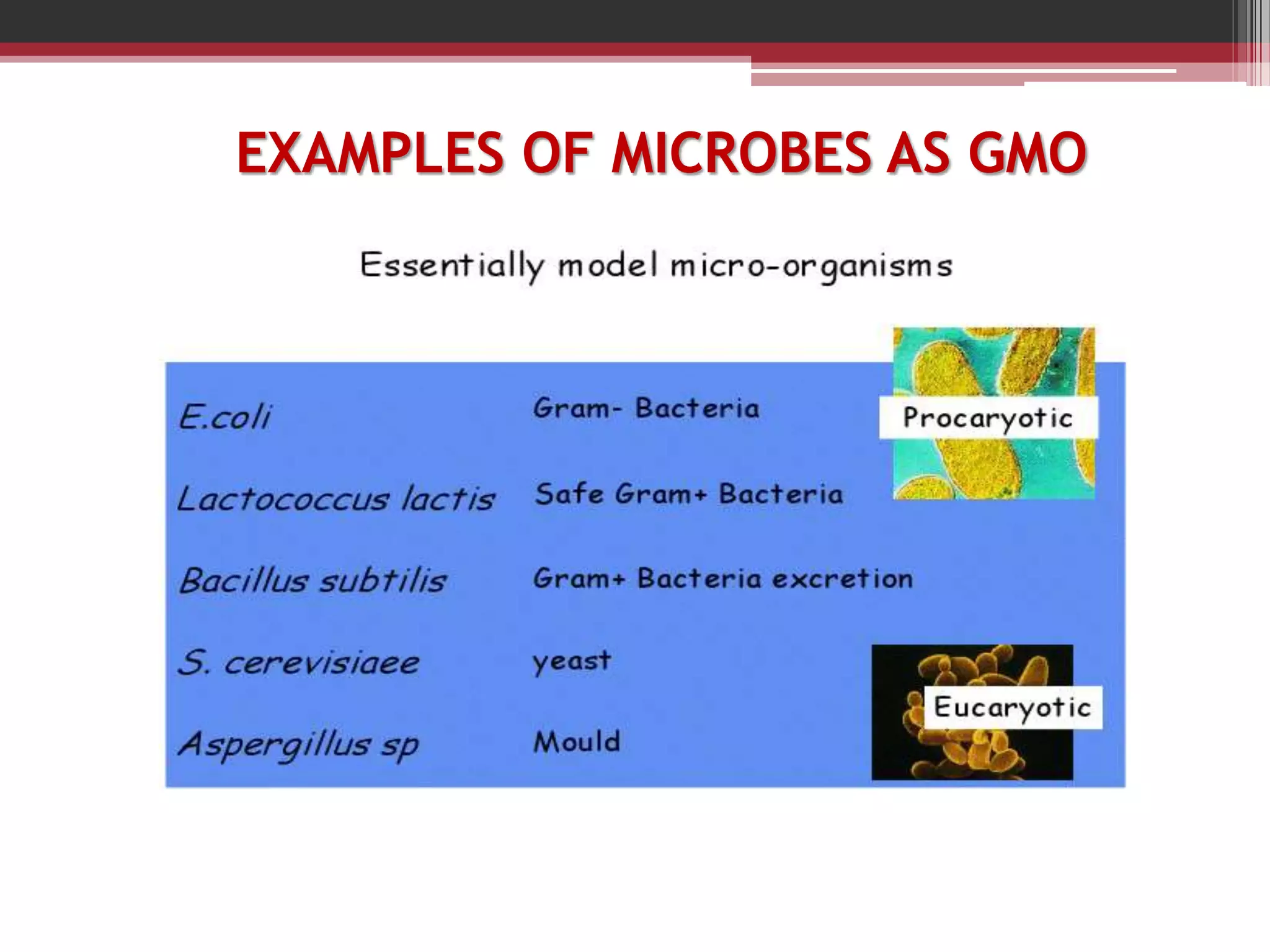 Genetically Modified Organism.ppt