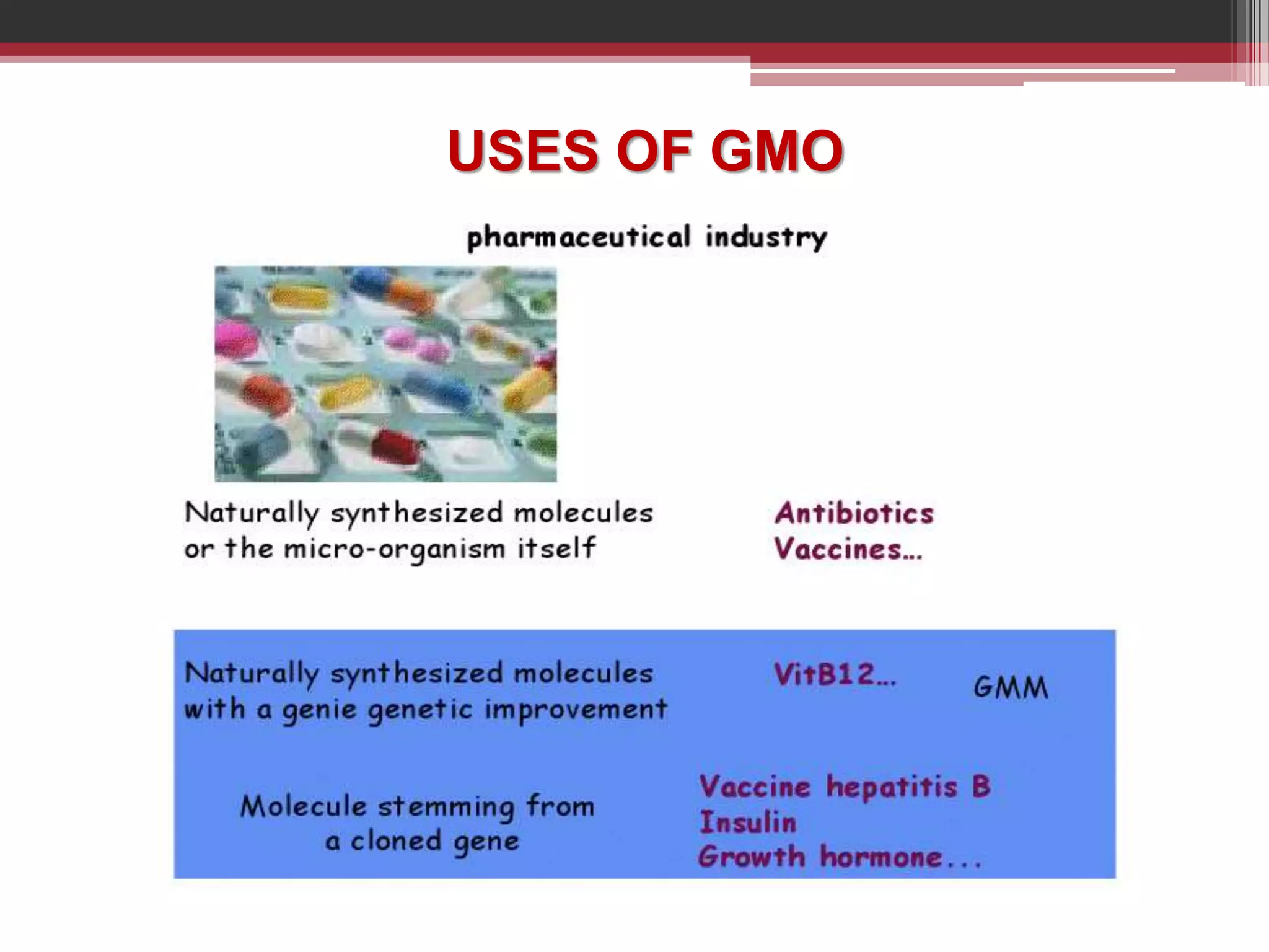 Genetically Modified Organism.ppt