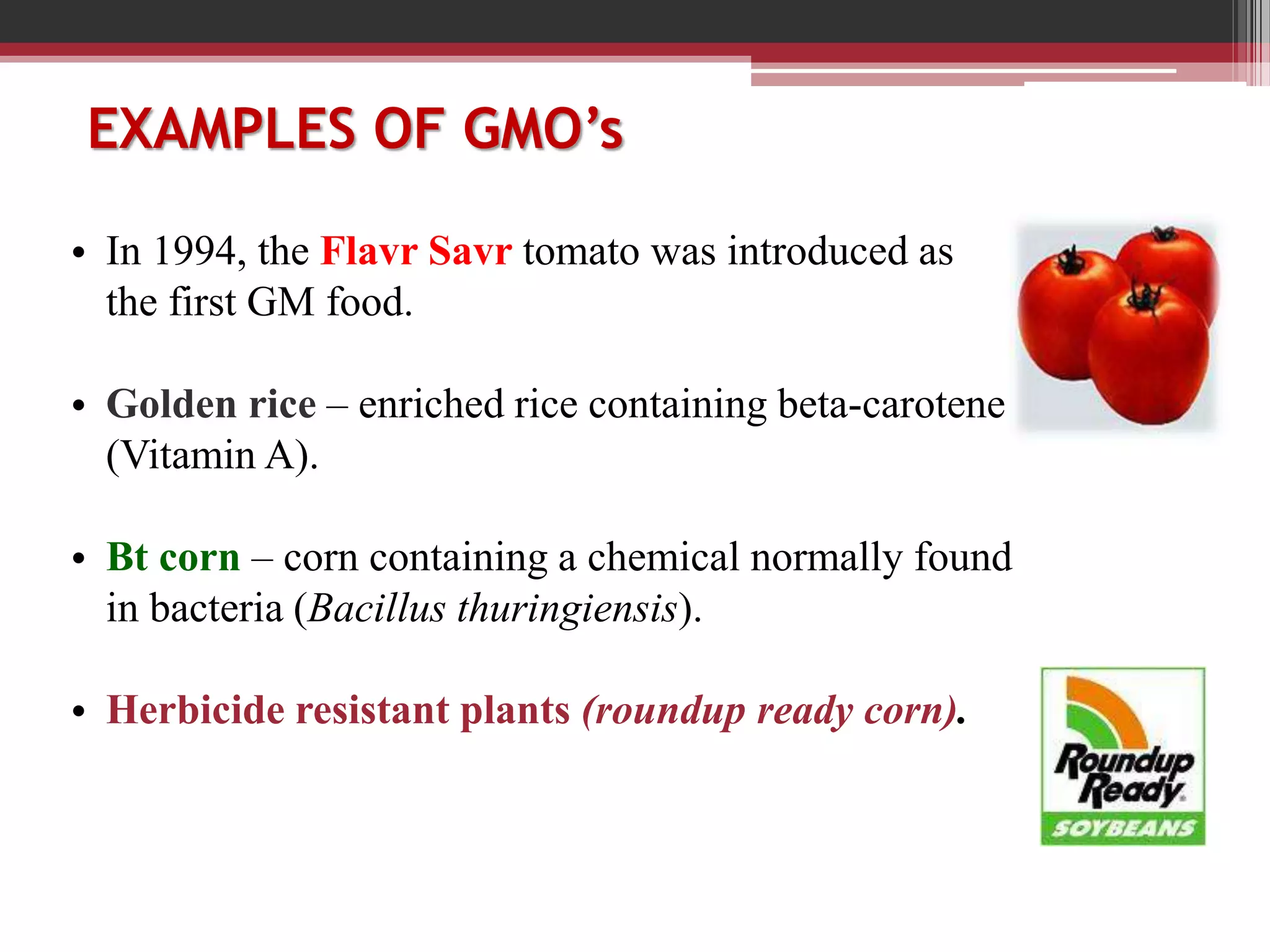 Genetically Modified Organism.ppt