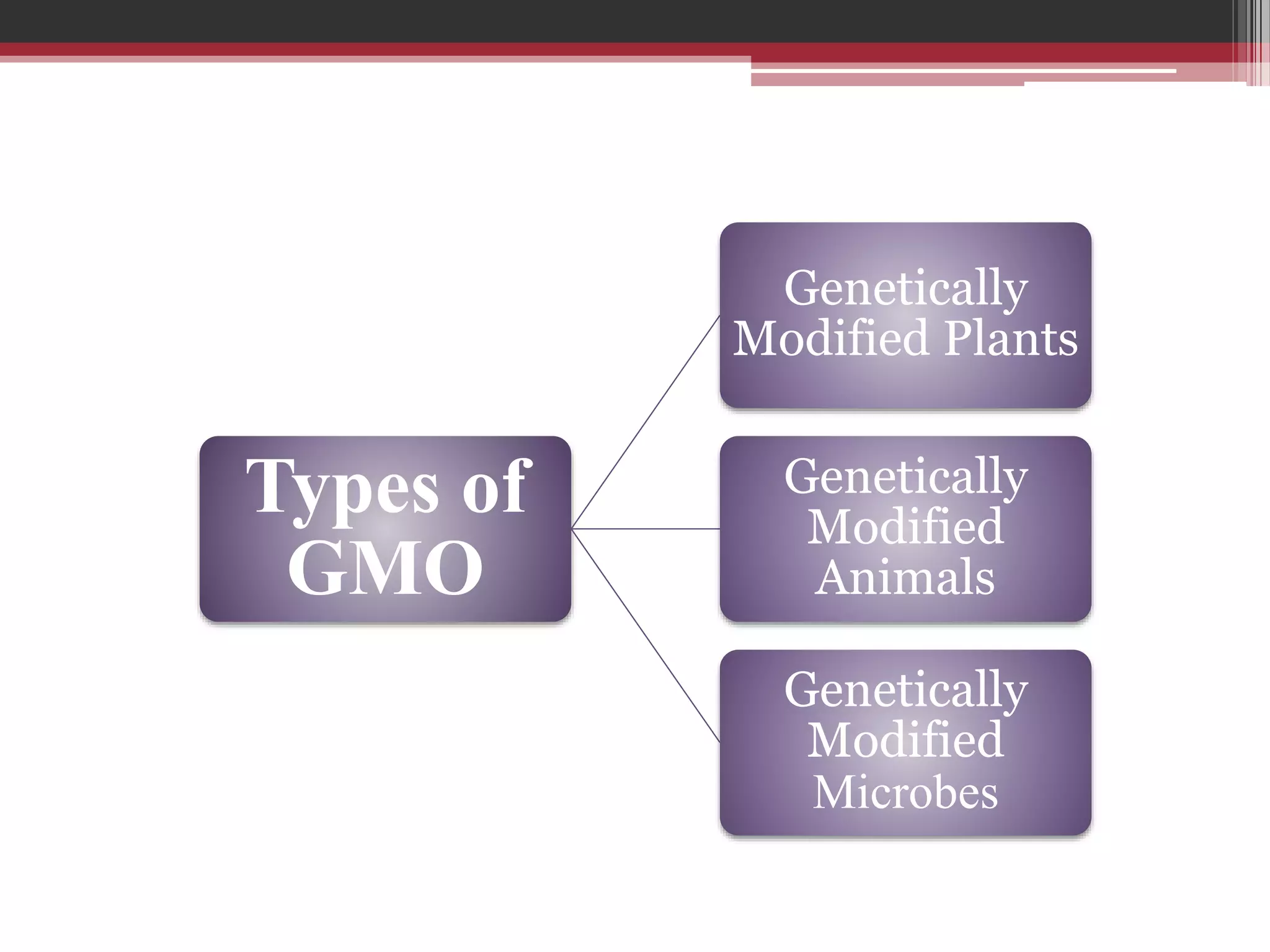 Genetically Modified Organism.ppt