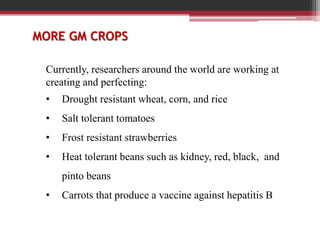 Genetically Modified Organism.ppt