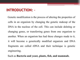 Genetically Modified Organism.ppt