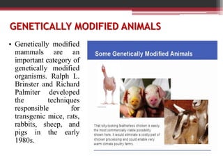Genetically Modified Organism.ppt