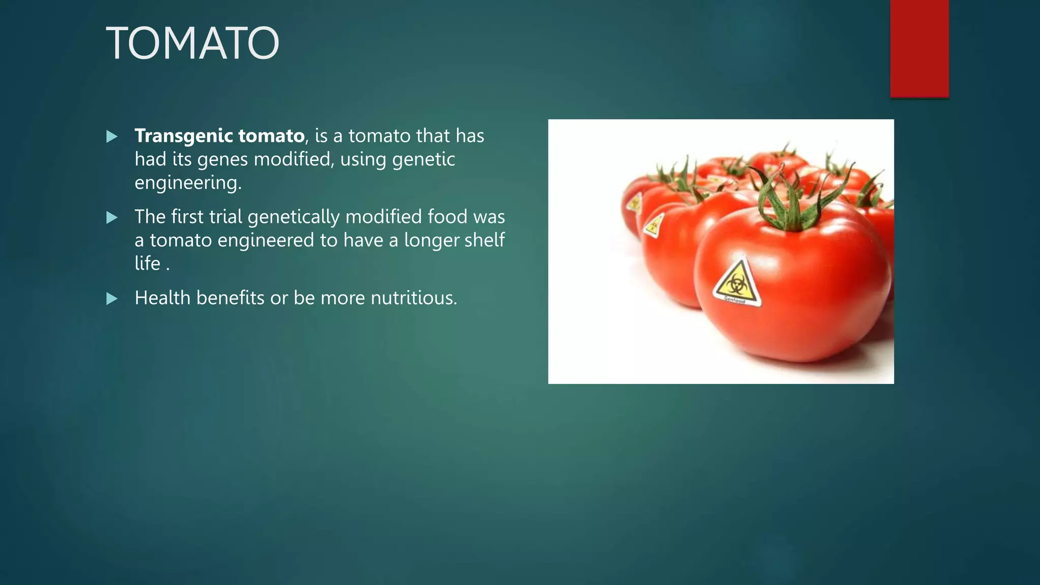 GENETICALLY MODIFIED ORGANISM.pptx