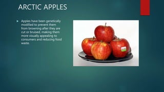 GENETICALLY MODIFIED ORGANISM.pptx