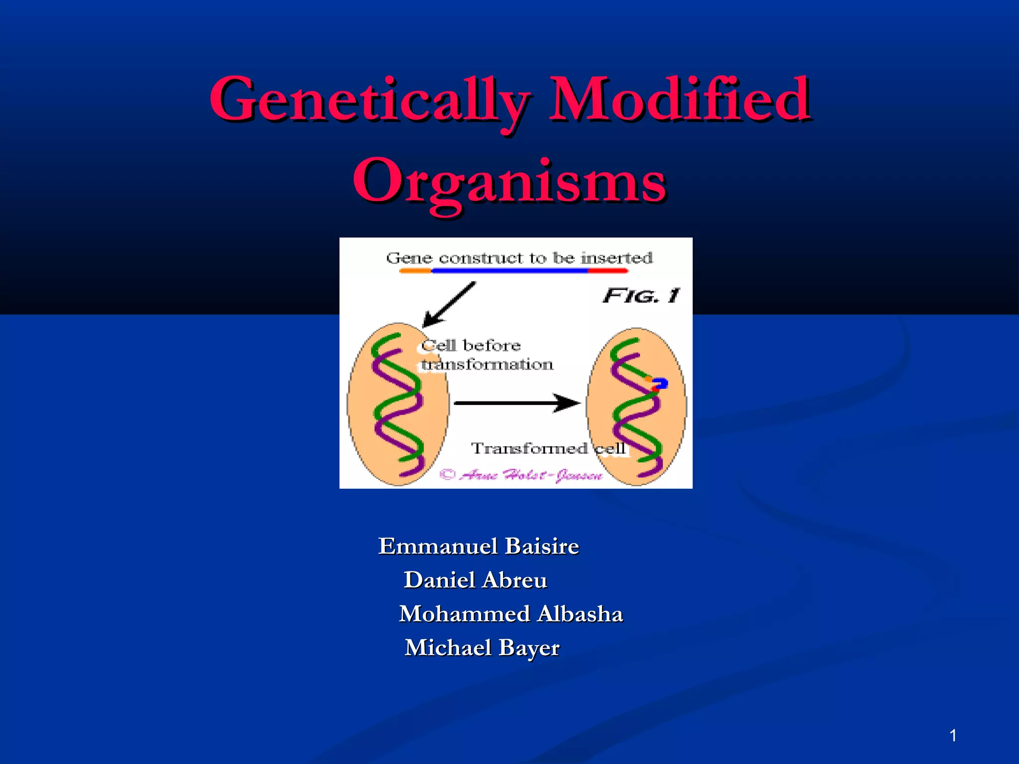 Genetically Modified Organism (GMO food)-- Emanuel Baisire | PPT