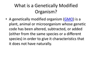 Genetically Modified Organisms | PPTX