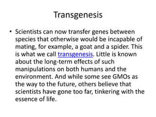 Genetically Modified Organisms | PPTX