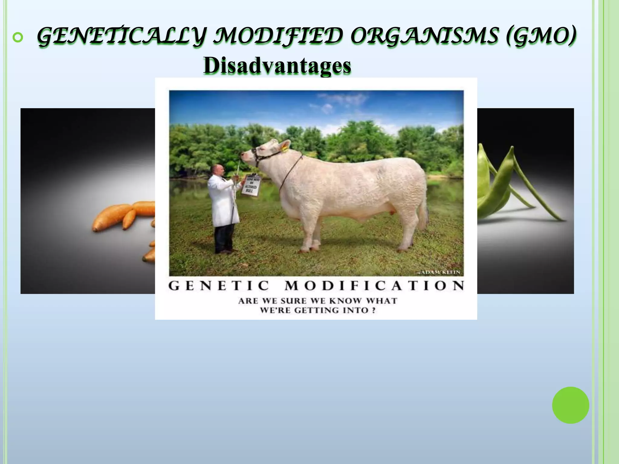 Genetically Modified Organisms | PPTX