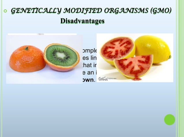 Genetically Modified Organisms | PPTX