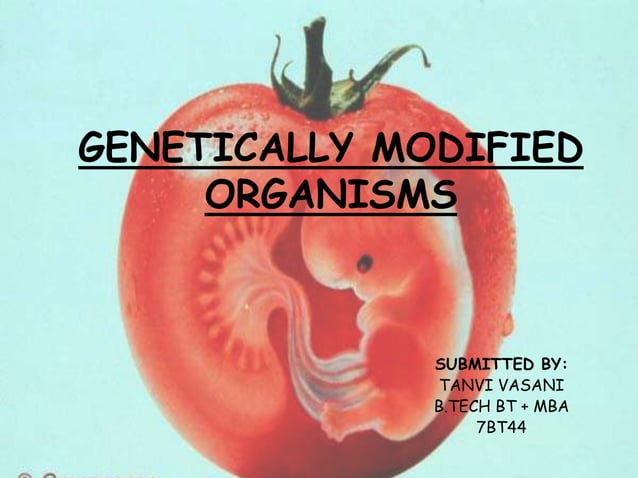 Genetically Modified Organisms (GMO) | PPTX | Genetics | Science