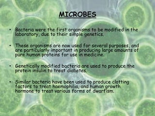 Genetically Modified Organisms (GMO) | PPTX