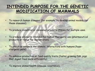 Examples Of Genetically Modified Organisms