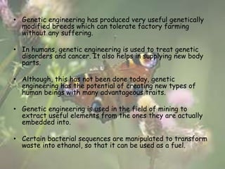 Examples Of Genetically Modified Organisms List