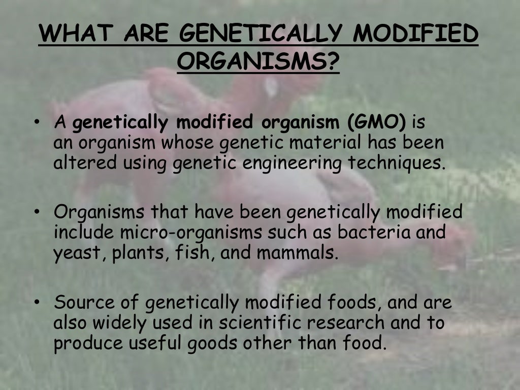 Genetically Modified Organisms (GMO)