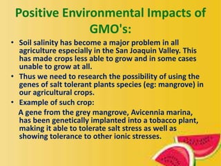 Genetically modified organisms | PPTX