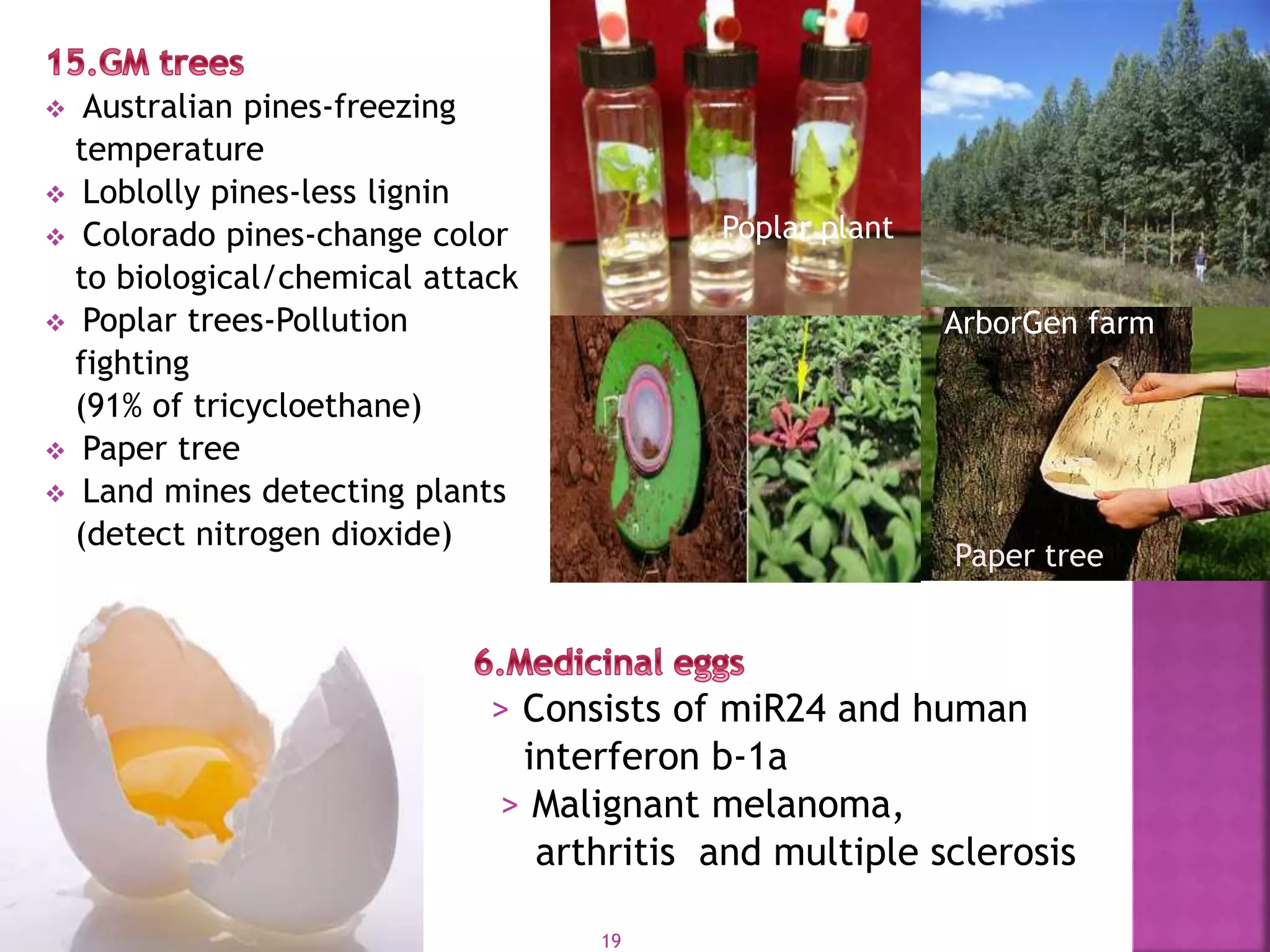 Genetically modified organisms(GMOs) | PPTX