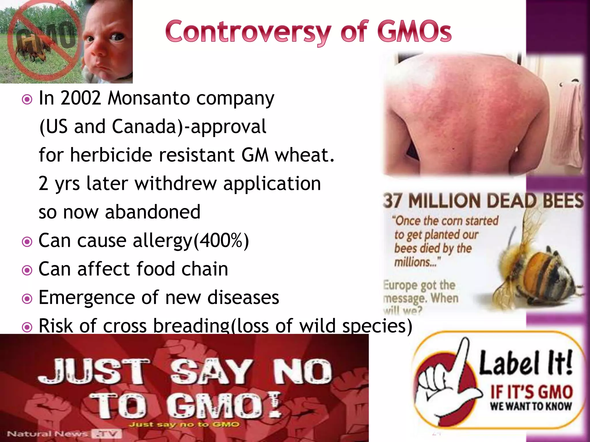 Genetically modified organisms(GMOs) | PPTX