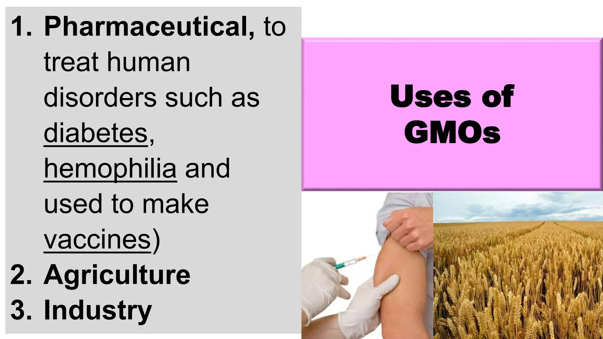 Genetically Modified Organisms (GMOs) | PPTX