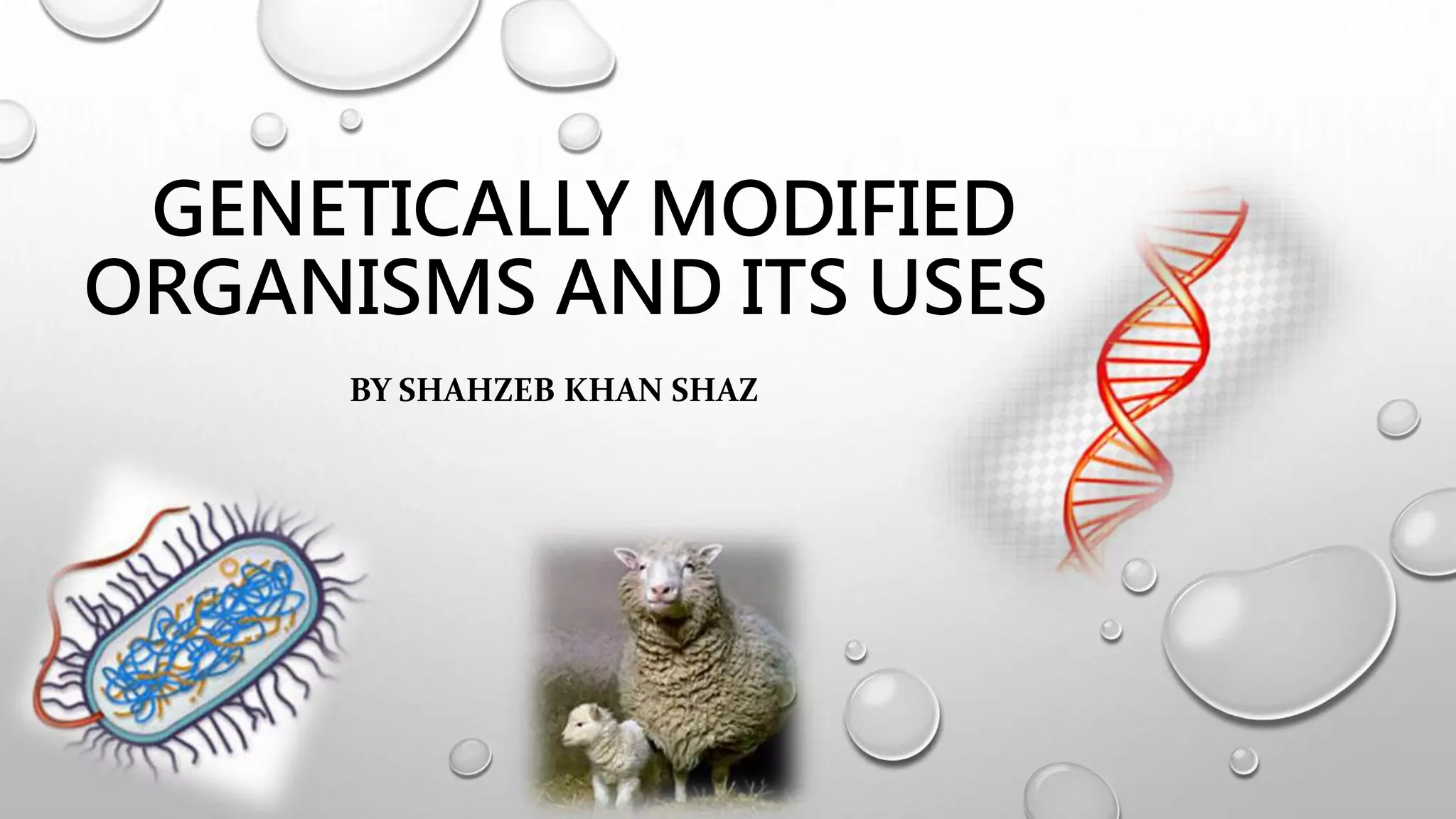 Genetically modified organisms | PPTX