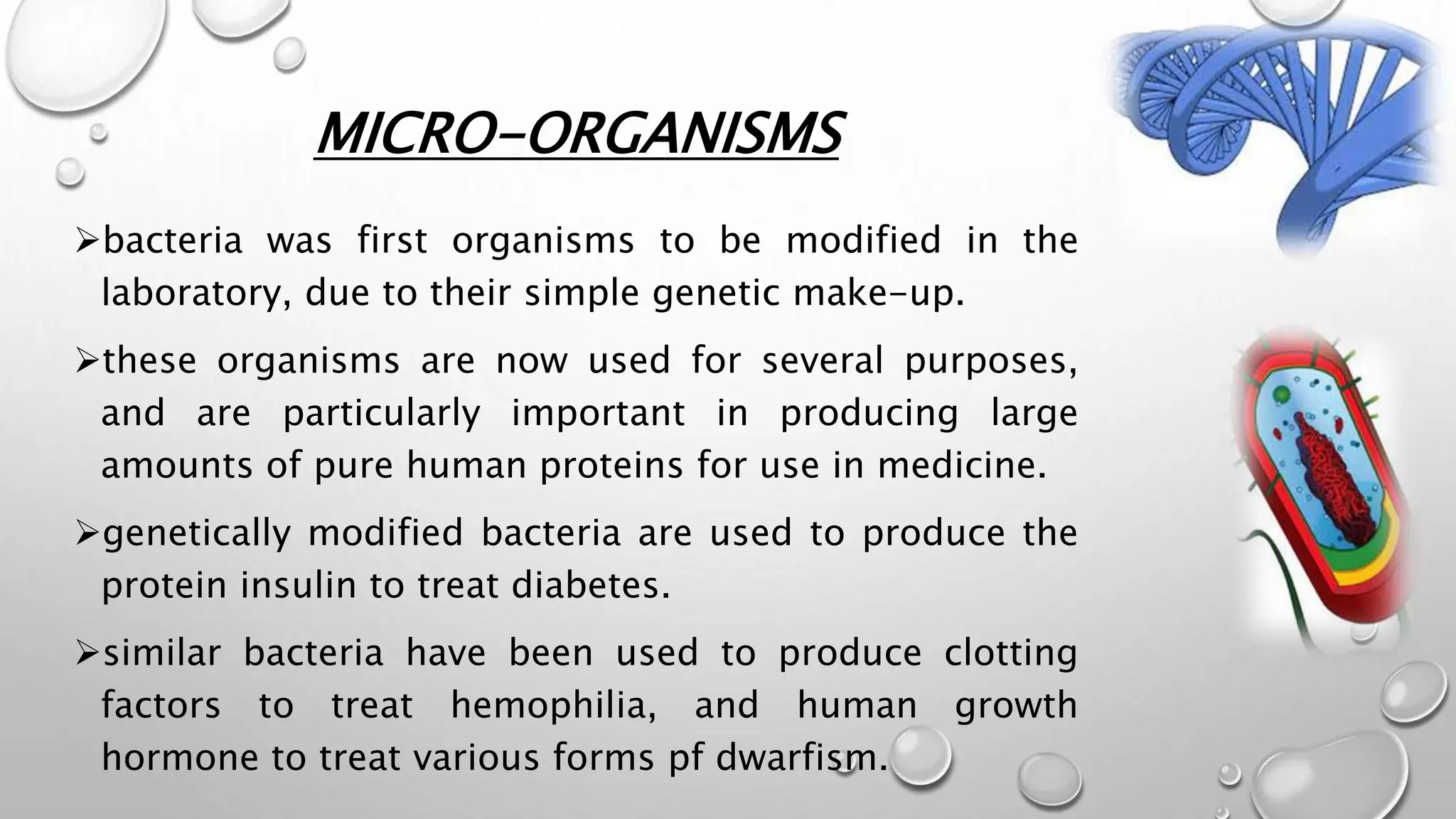 Genetically modified organisms | PPTX