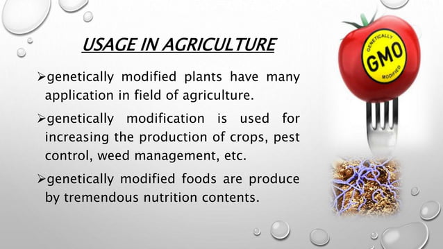 Genetically modified organisms | PPTX