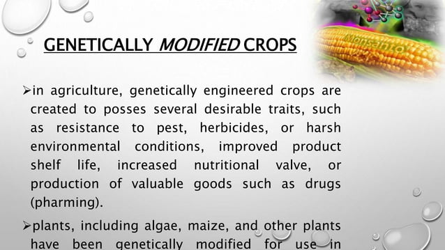 Genetically modified organisms | PPTX