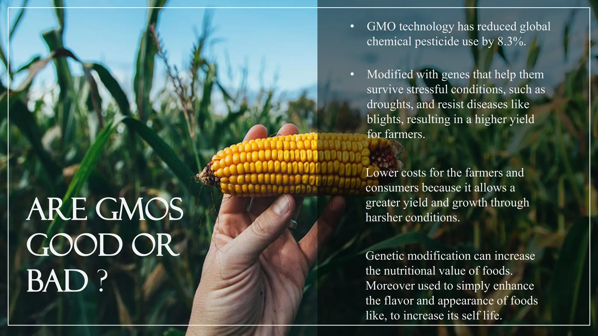 Genetically Modified Organisms.. (1).pdf