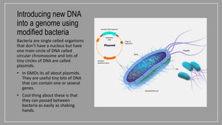 Genetically Modified Organisms.. (1).pdf
