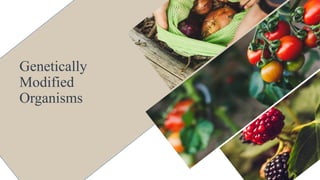 Genetically Modified Organisms.. (1).pdf