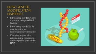 Genetically Modified Organisms.. (1).pdf