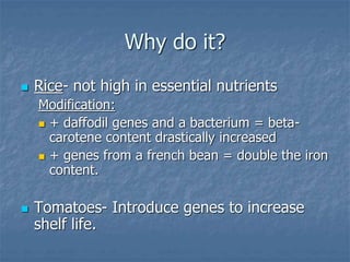 Genetically modified organisms | PPTX
