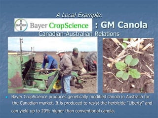 Genetically modified organisms | PPT